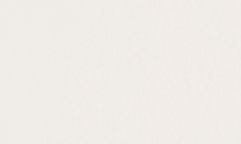 Finishes - Diamond Builders Inc.