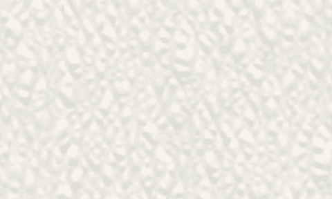 Finishes - Diamond Builders Inc.